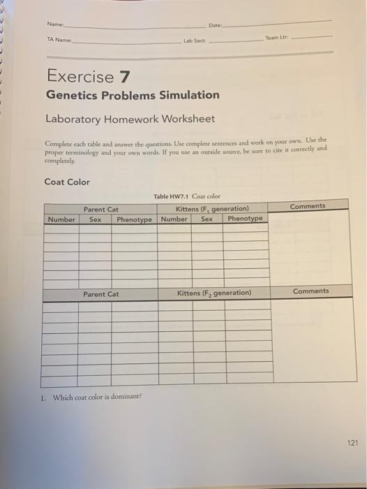 Solved Name Date TA Name Lab Sect Team Exercise 7 Genetics | Chegg.com