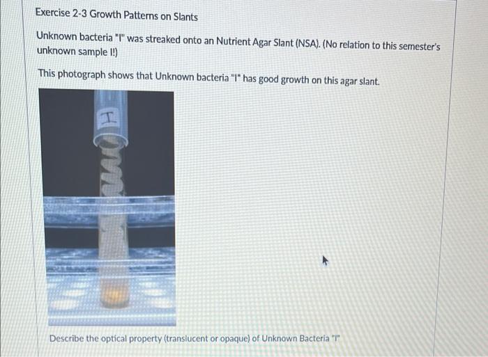 Solved Exercise 2-3 Growth Patterns on Slants Unknown | Chegg.com