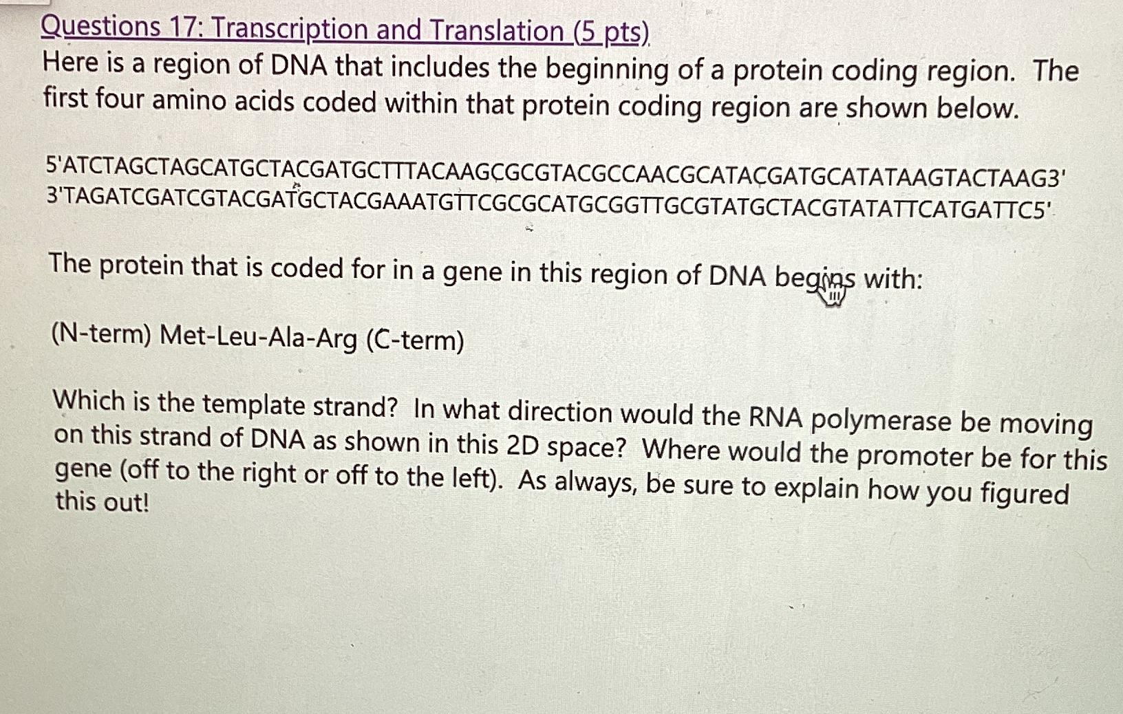 Solved Questions 17: Transcription and Translation (5 | Chegg.com