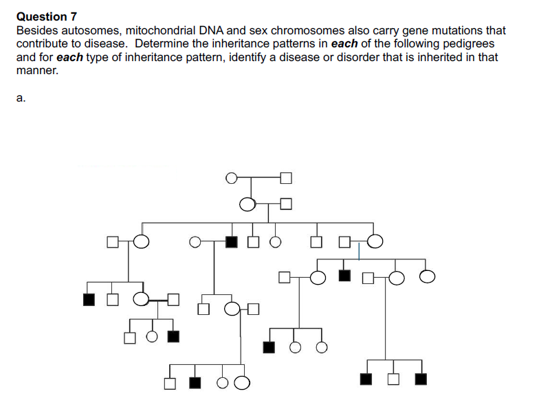 Solved Question 7Besides autosomes, mitochondrial DNA and | Chegg.com