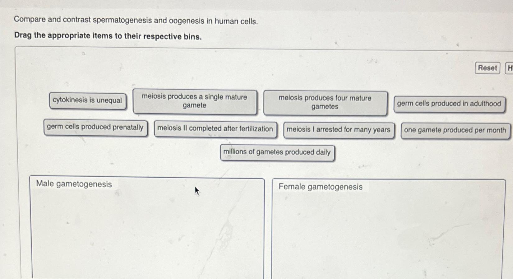 Solved Compare and contrast spermatogenesis and oogenesis in | Chegg.com