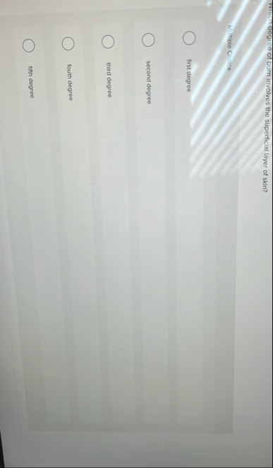 Solved Which degree of Durn involves the superficial layer | Chegg.com