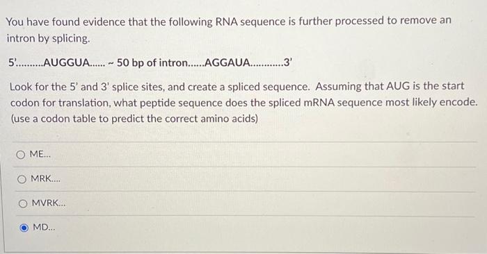 Solved You have found evidence that the following RNA | Chegg.com