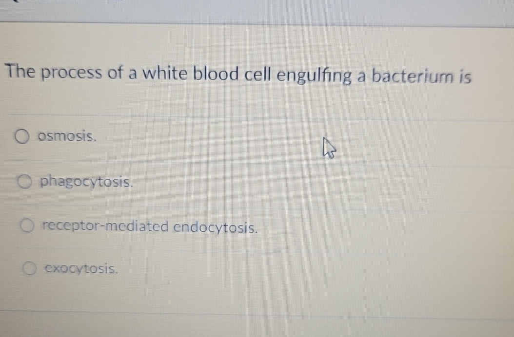 Solved The process of a white blood cell engulfing a | Chegg.com