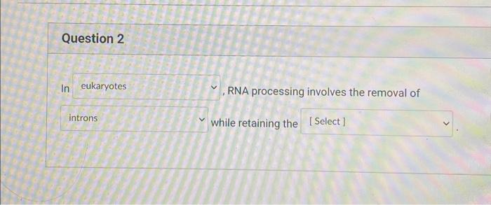 Solved Question 2 In , RNA processing involves the removal | Chegg.com