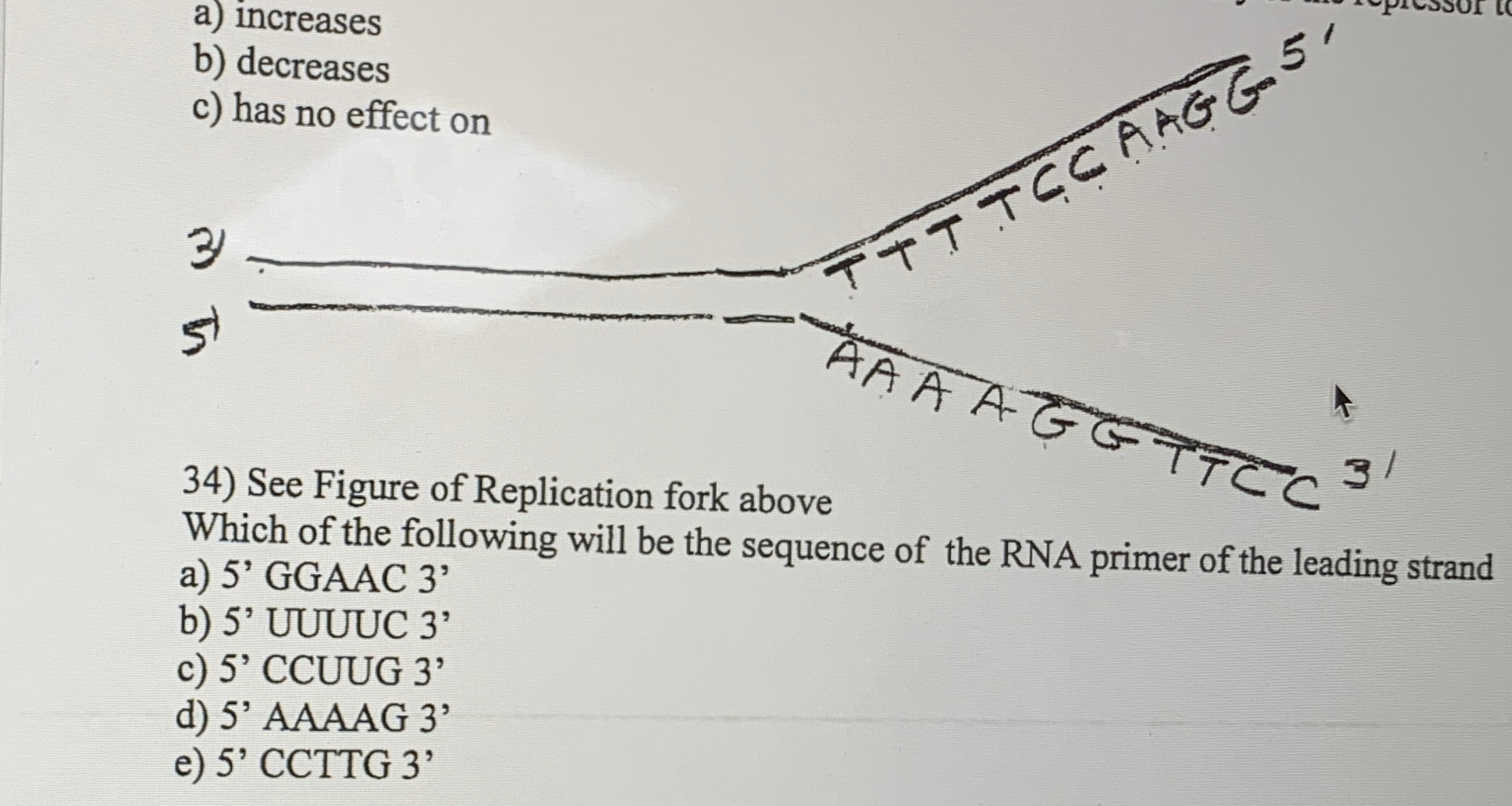 Solved See Figure of Replication fork aboveWhich of the | Chegg.com