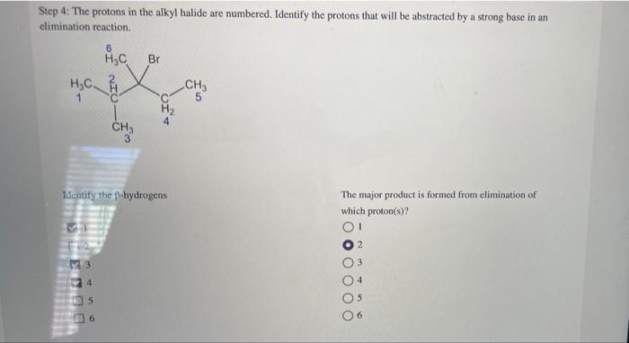 Solved Step 4: The protons in the alkyl halide are numbered. | Chegg.com