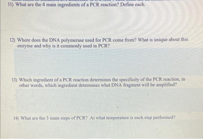 Solved 11) What are the 4 main ingredients of a PCR | Chegg.com