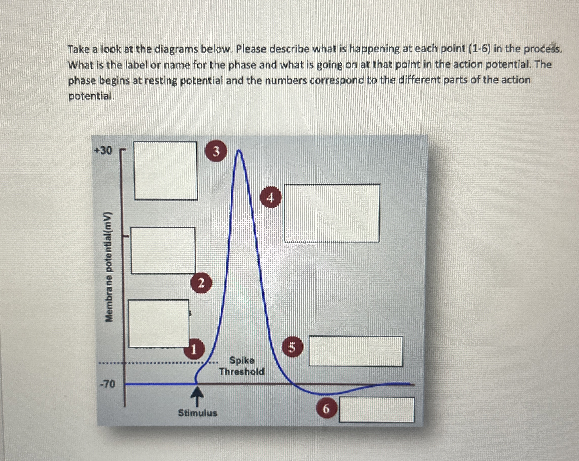 Solved Take a look at the diagrams below. Please describe | Chegg.com