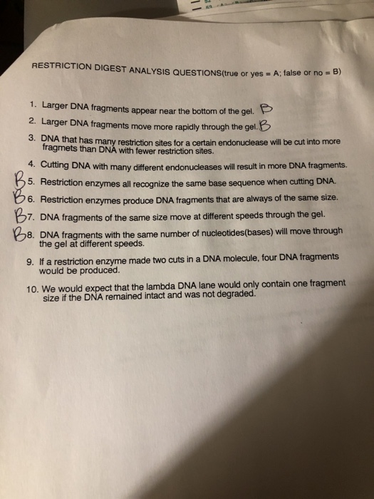 Solved RESTRICTION DIGEST ANALYSIS QUESTIONS(true or yes = | Chegg.com
