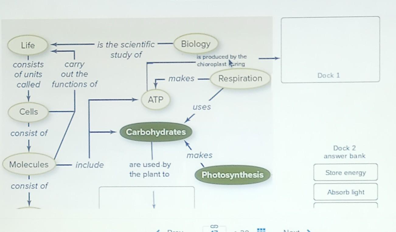 Solved Use the terms and phrases to complete the concept | Chegg.com