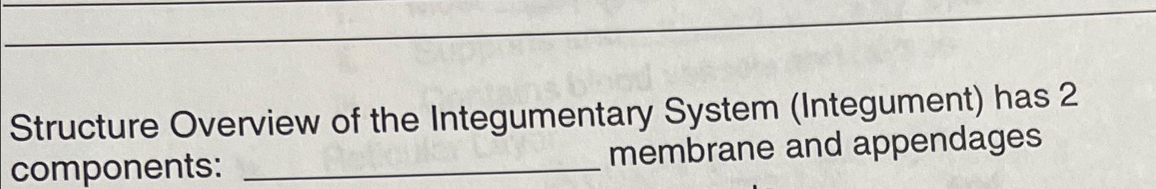 Solved Structure Overview of the Integumentary System | Chegg.com