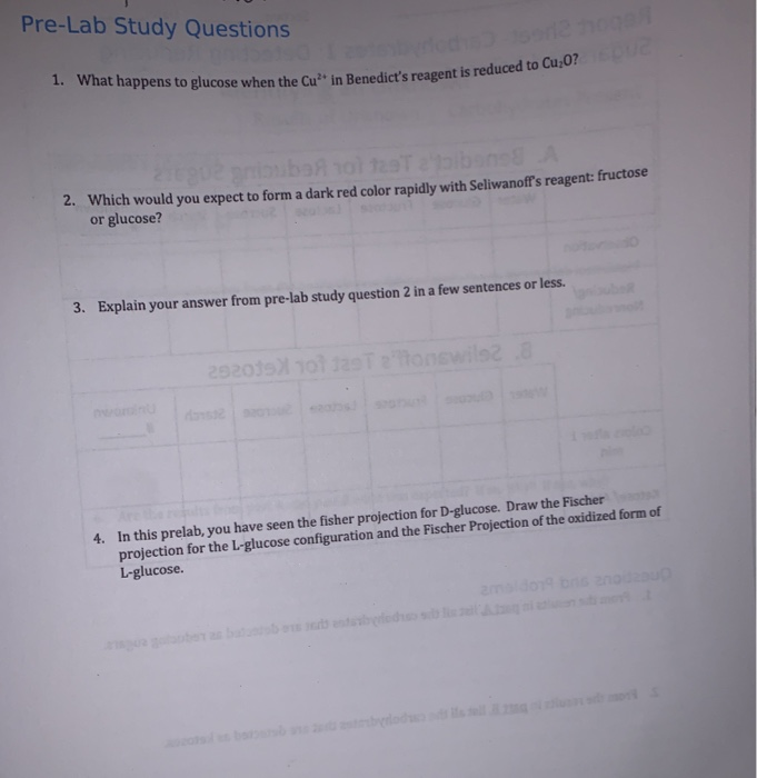 Solved Pre-Lab Study Questions 1. What happens to glucose | Chegg.com