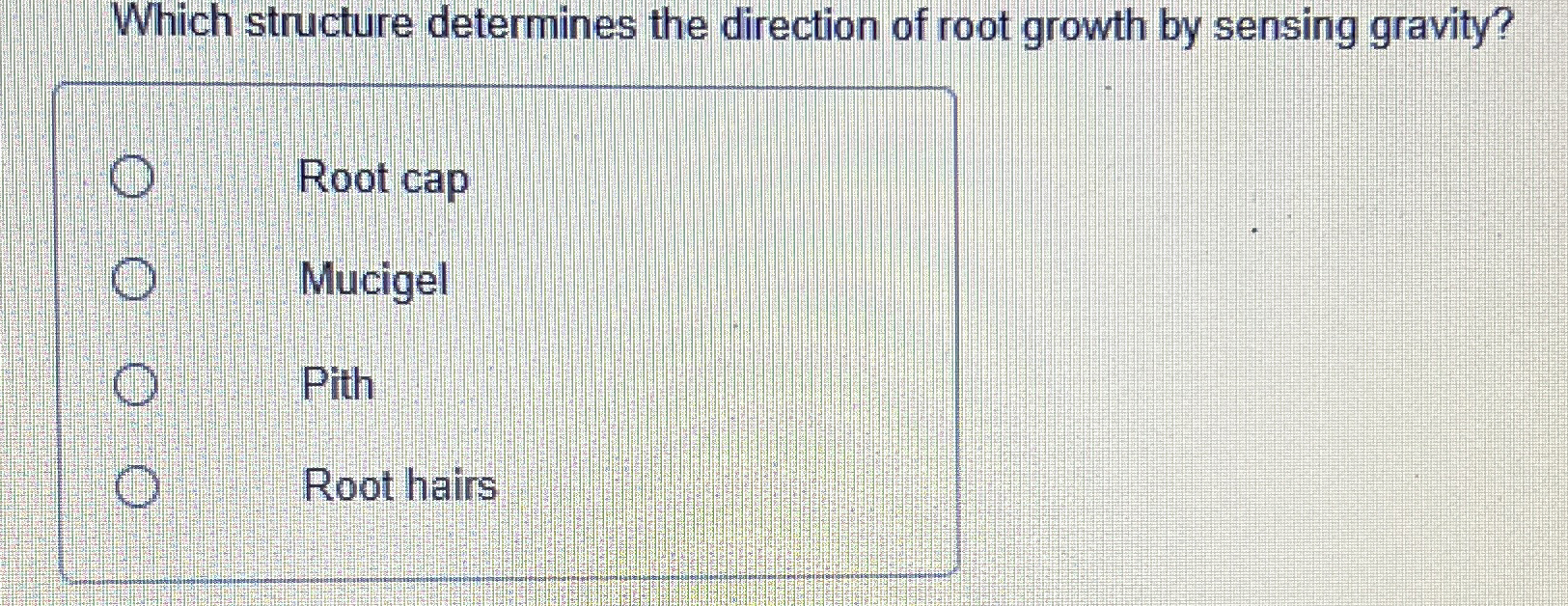 Solved Which structure determines the direction of root | Chegg.com