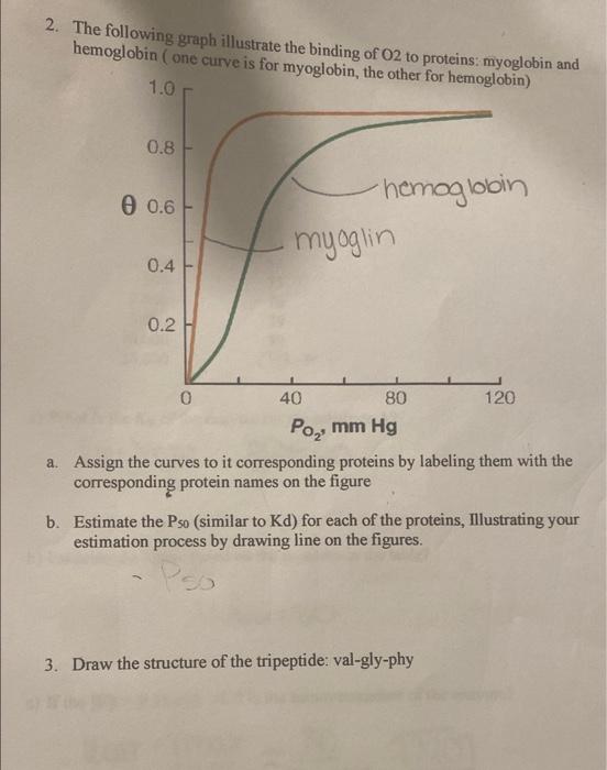 Solved 2. The following graph illustrate the binding of O2 | Chegg.com