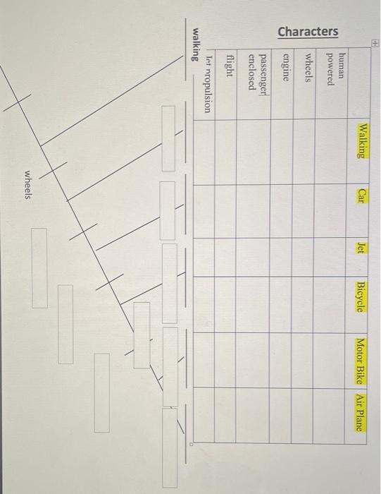 Solved Phylogenetic tree complete all | Chegg.com