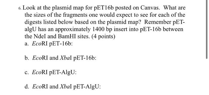 Solved 6. Look at the plasmid map for pET16 b posted on | Chegg.com