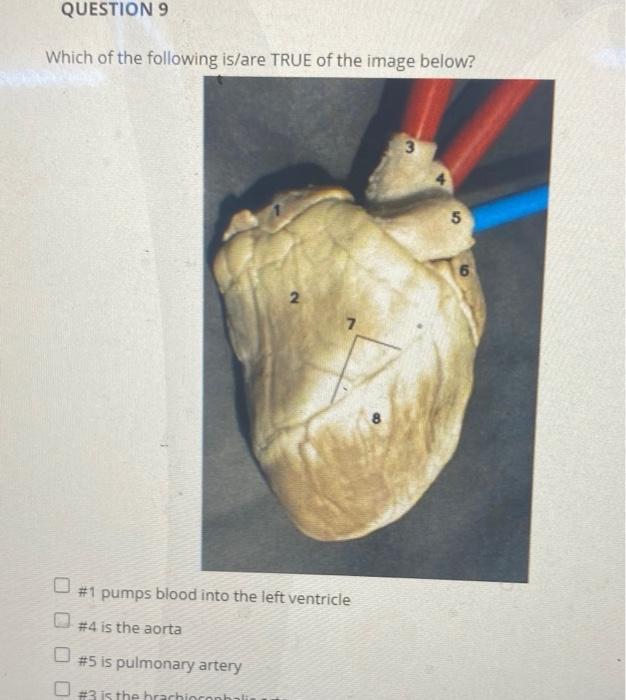 Solved QUESTION 3 Which of the following is the THICKEST?- O | Chegg.com