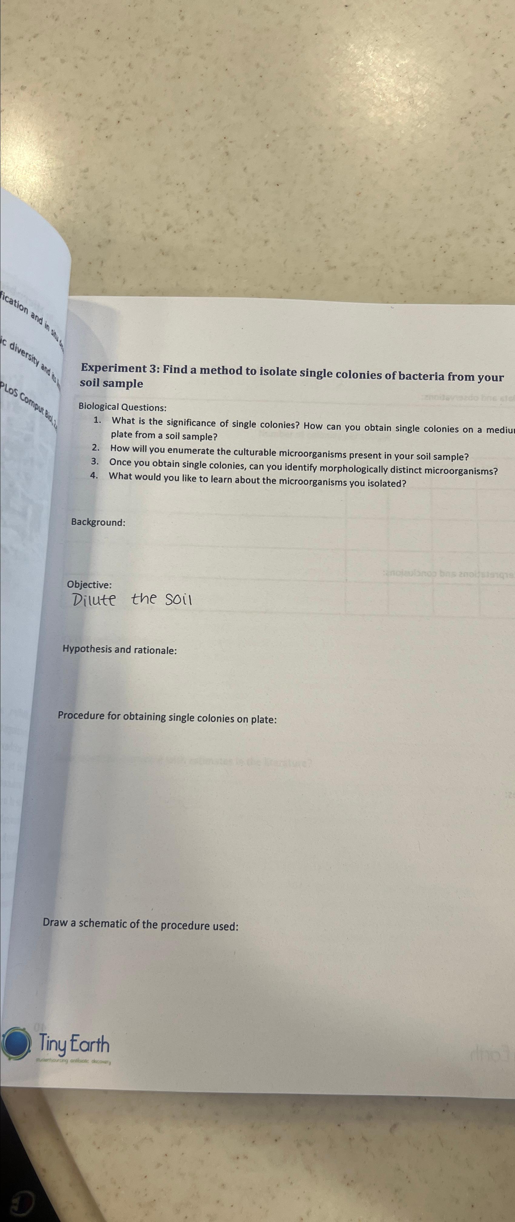Solved Experiment 3: Find a method to isolate single | Chegg.com