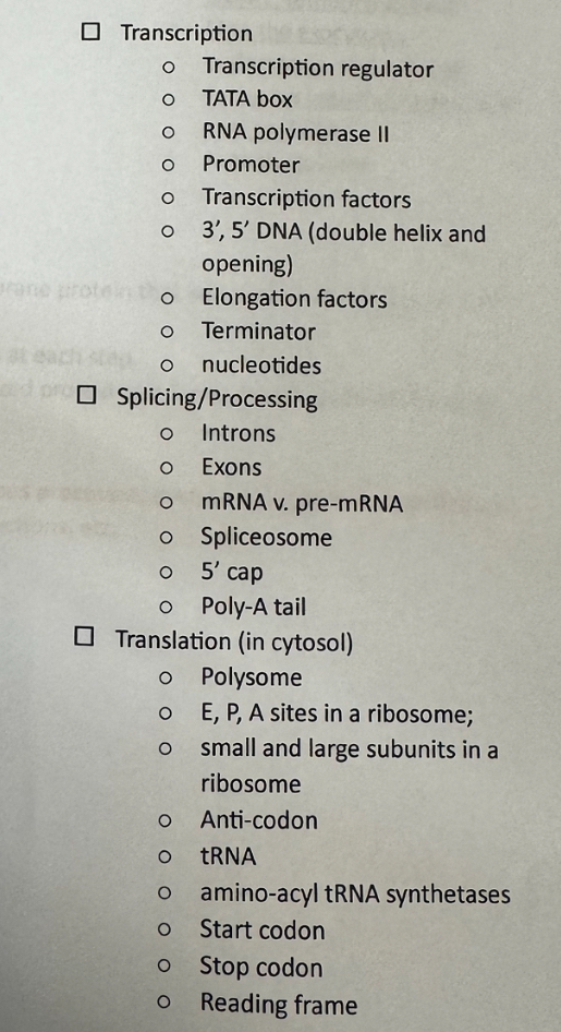 Solved Draw and label the detailed diagrams for below. | Chegg.com