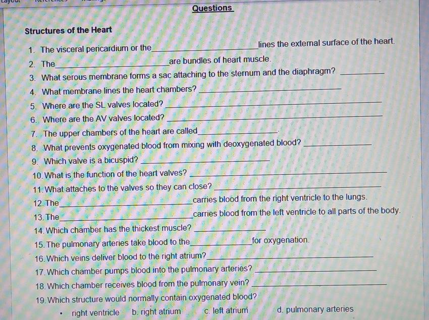 Solved Questions Structures of the Heart 1. The visceral | Chegg.com