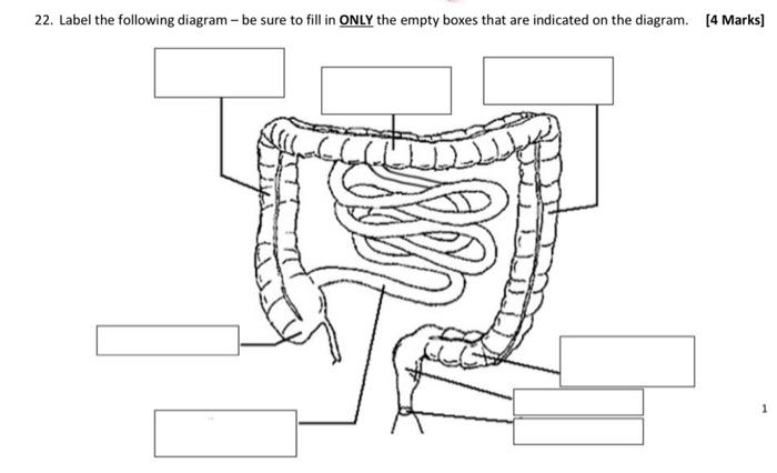 Solved 22. Label the following diagram - be sure to fill in | Chegg.com