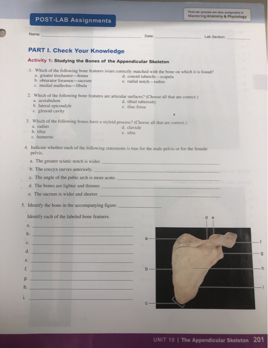 Solved Postab quizes are also assignable in Mastering | Chegg.com