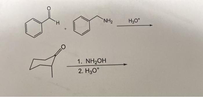 Solved H NH2 H30 + 다 1. NH2OH 2. Hot NH H3O+ CH3 NH2 NH H | Chegg.com