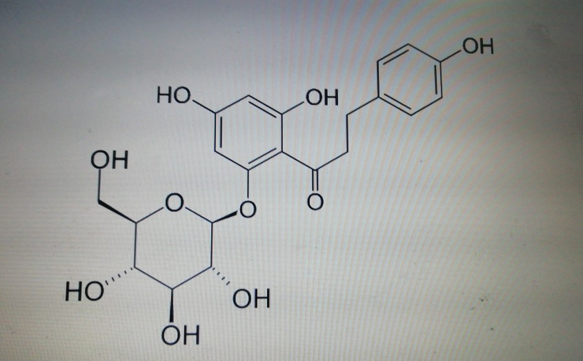 Solved This is the structure of the Phlorizin 1) Is it the | Chegg.com