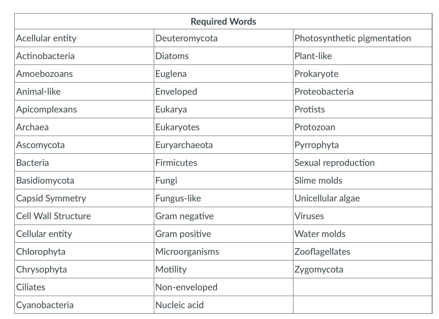 Draw classification Mind Map using these | Chegg.com