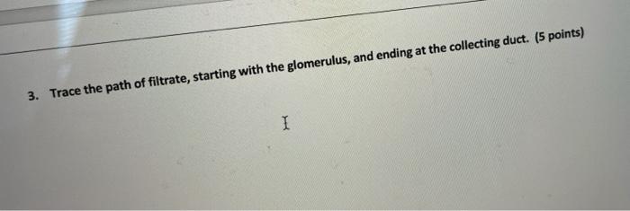 Solved 3. Trace the path of filtrate, starting with the | Chegg.com