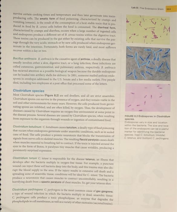 Solved he endospore stain is an example of a structural | Chegg.com