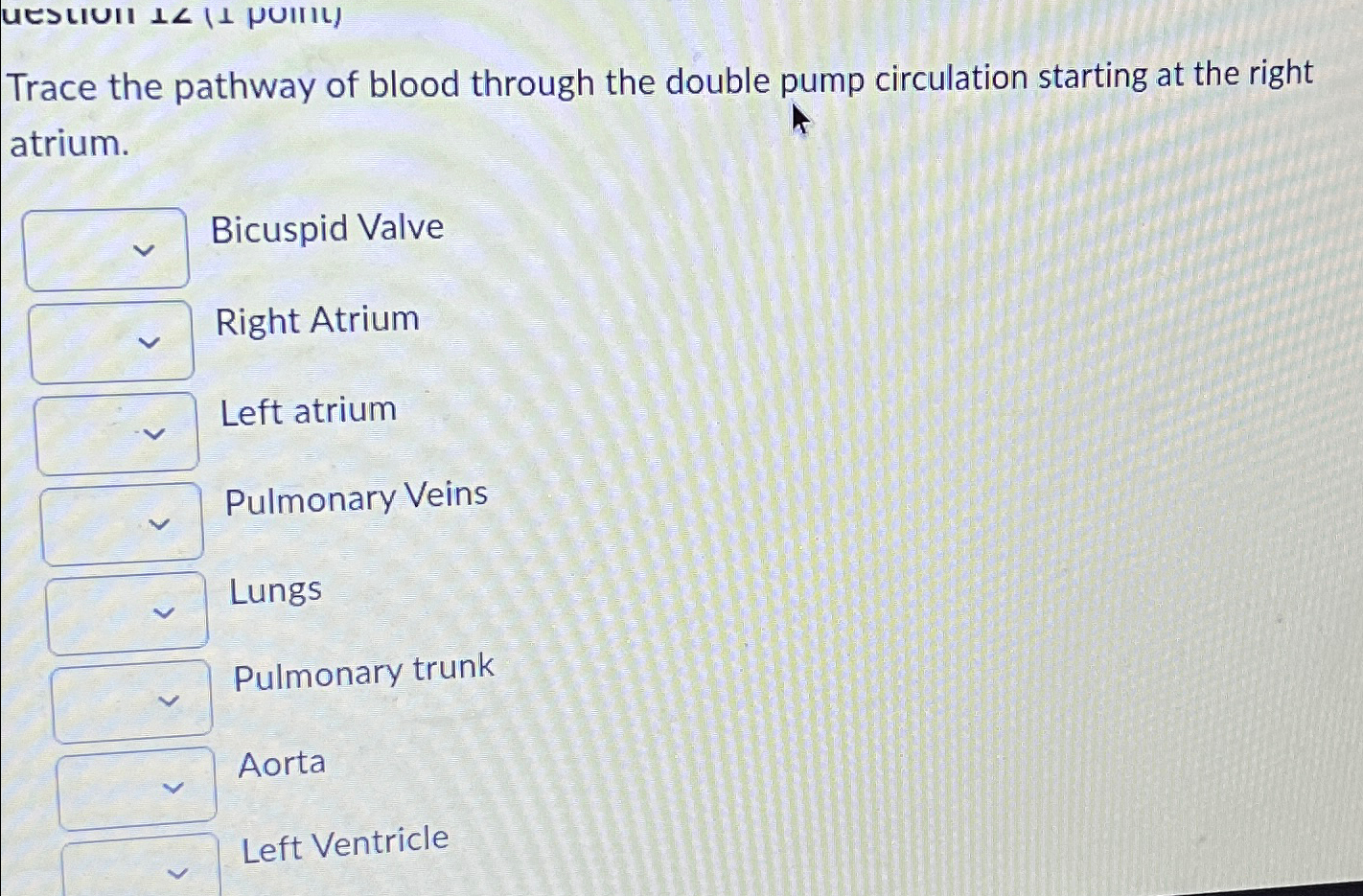 Solved Trace the pathway of blood through the double pump | Chegg.com