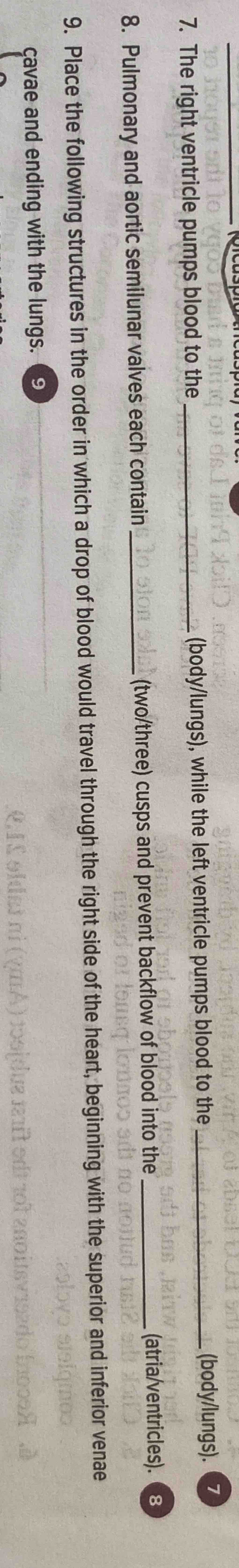 Solved The right ventricle pumps blood to the(body/lungs), | Chegg.com