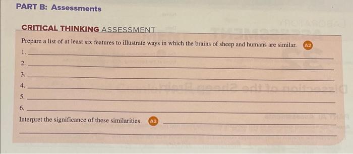 Solved PART B: Assessments CRITICAL THINKING ASSESSMENT | Chegg.com