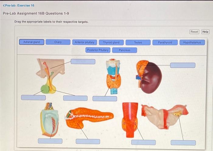 Solved Question | Chegg.com