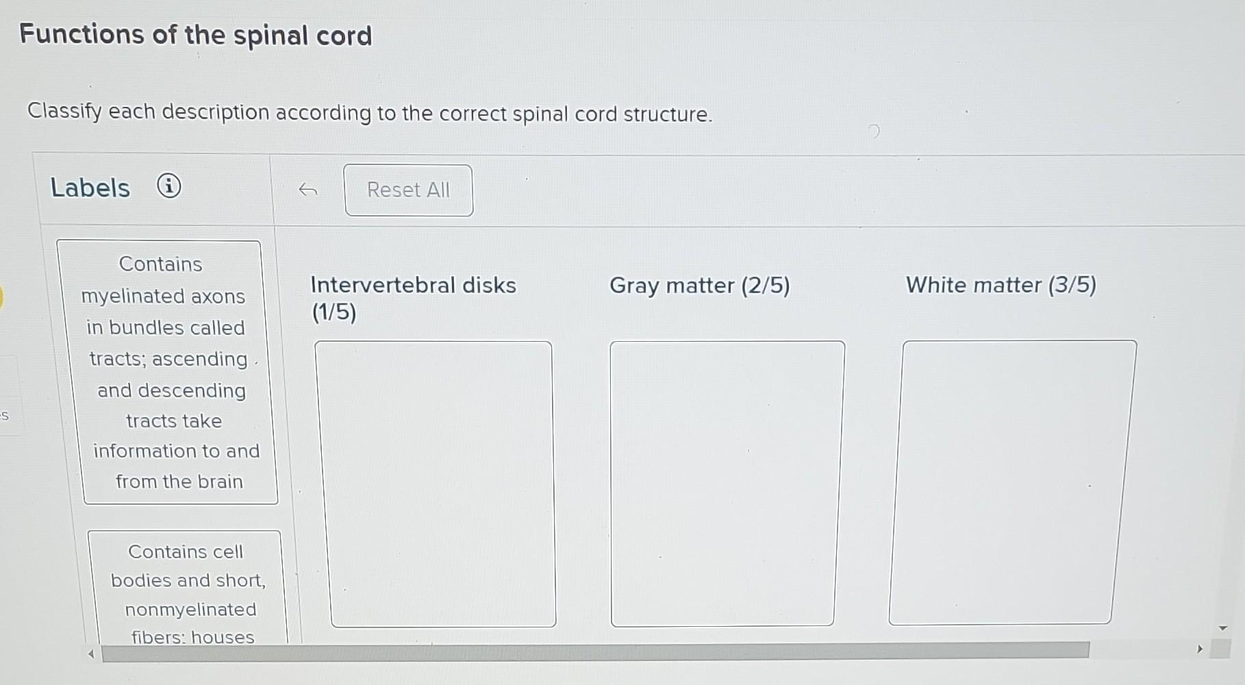 Solved Classify each description according to the correct | Chegg.com