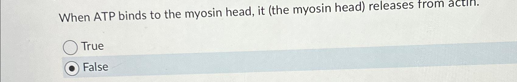 Solved When ATP binds to the myosin head, it (the myosin | Chegg.com