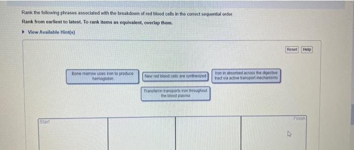 Solved Rank the following phrases associated with the | Chegg.com