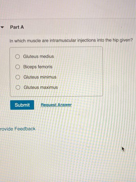 Solved Part A In which muscle are intramuscular injections | Chegg.com