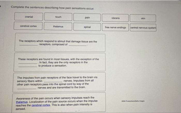Solved Complete the sentences describing how pain sensations | Chegg.com