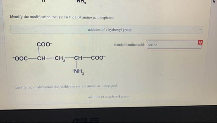 Solved NH Identify the modification that yields the first | Chegg.com