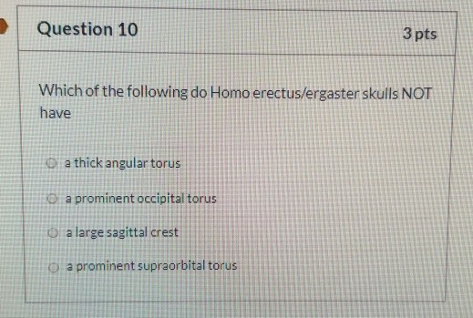 Solved Question 10 3 pts Which of the following do Homo | Chegg.com