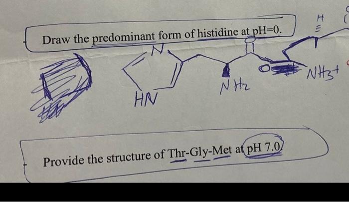 Solved Draw the predominant form of histidine at pH=0. HN | Chegg.com Solved Draw the predominant form of histidine at pH=0. HN | Chegg.com
