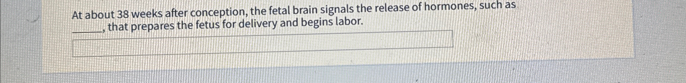 Solved At about 38 ﻿weeks after conception, the fetal brain | Chegg.com
