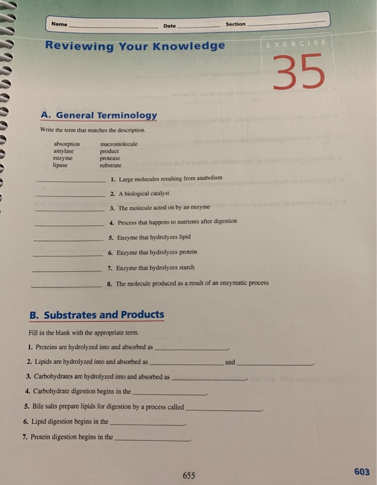 Solved Name Section Date Reviewing Your Knowledge Exercise
