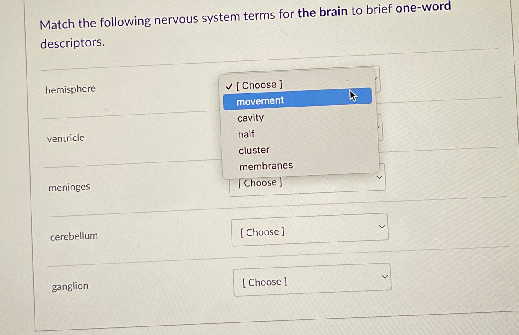 Solved Match the following nervous system terms for the | Chegg.com
