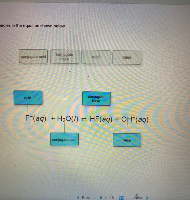 Solved ecies in the equation shown 8 conjugate acid base | Chegg.com