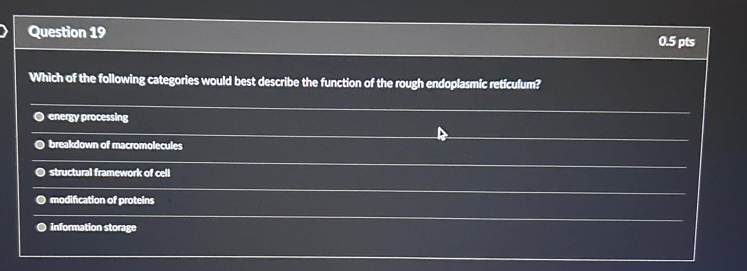 Solved Question 190.5ptsWhich of the following categories | Chegg.com