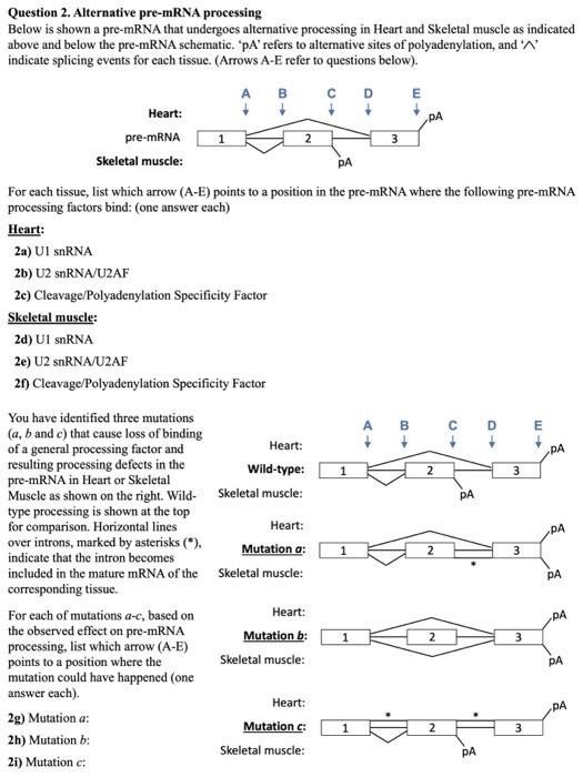 Solved all parts please | Chegg.com